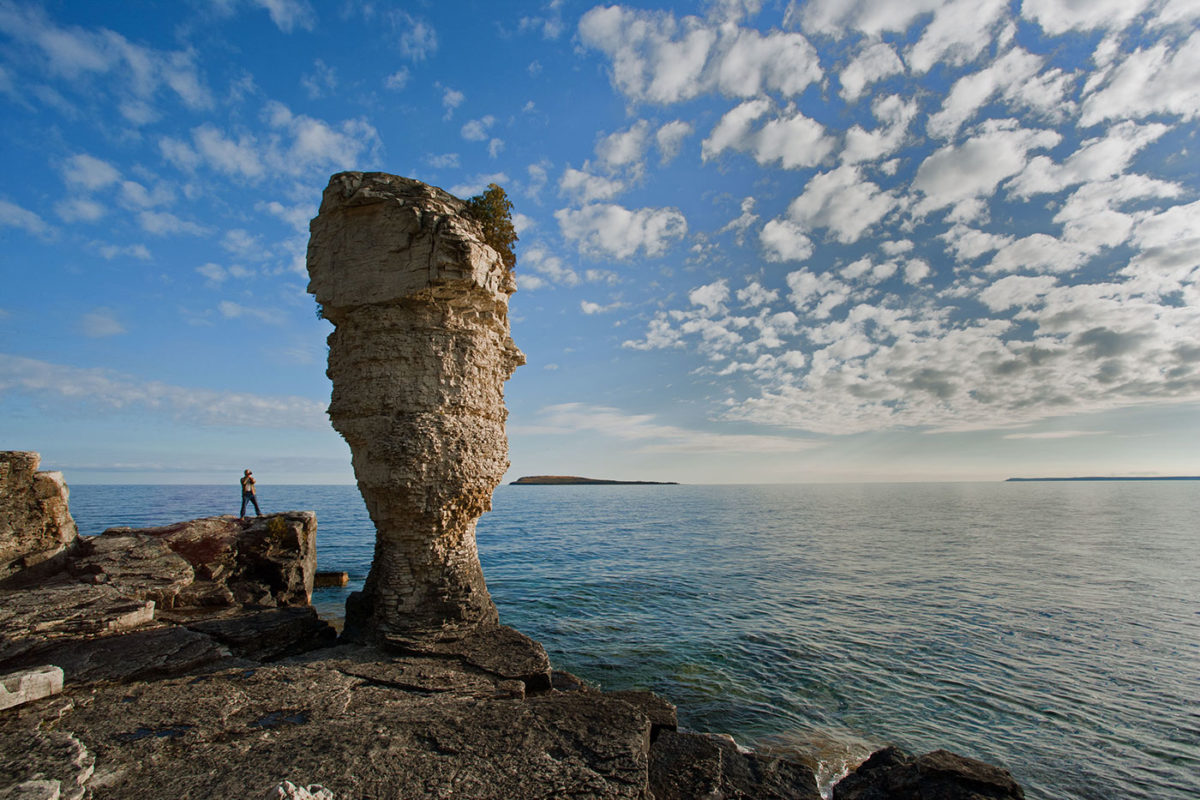 The Battle for the Bruce | C2C Journal