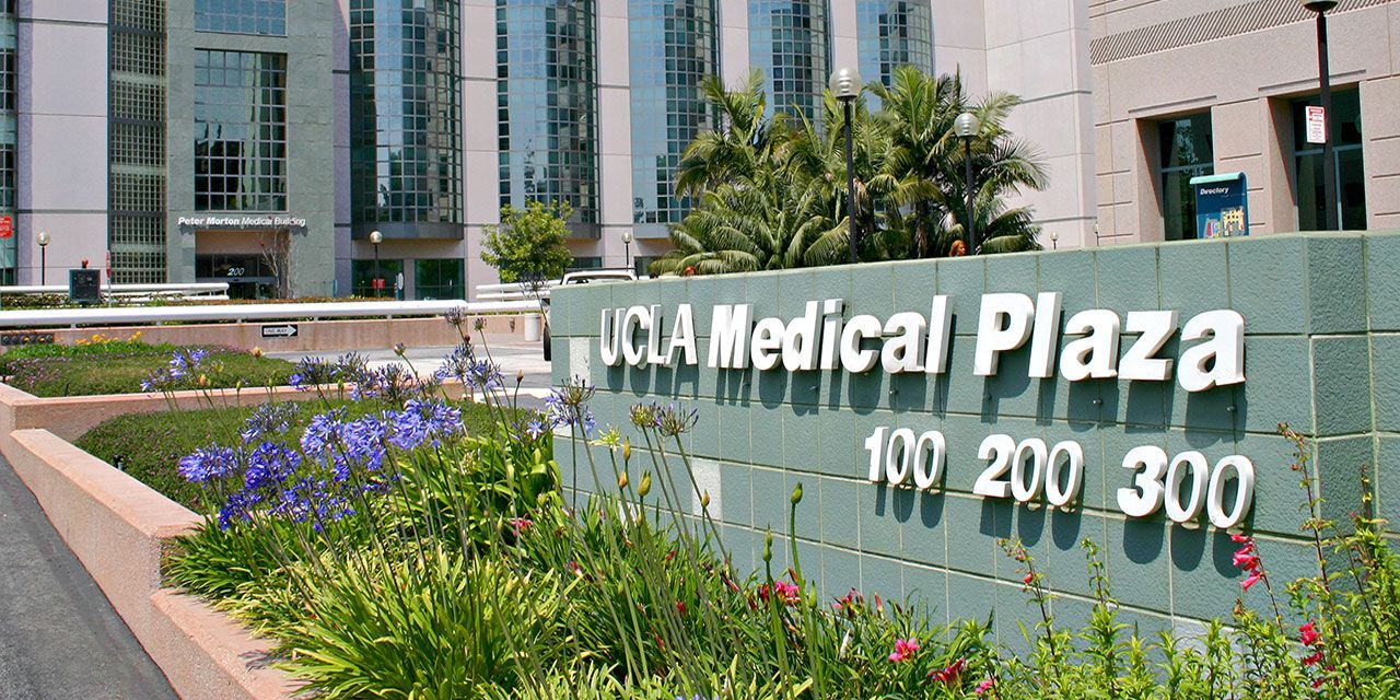 You Learned What in Medical School? | C2C Journal