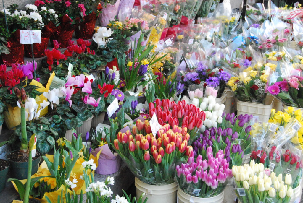 In Lieu of Charity, Please Send Flowers | C2C Journal