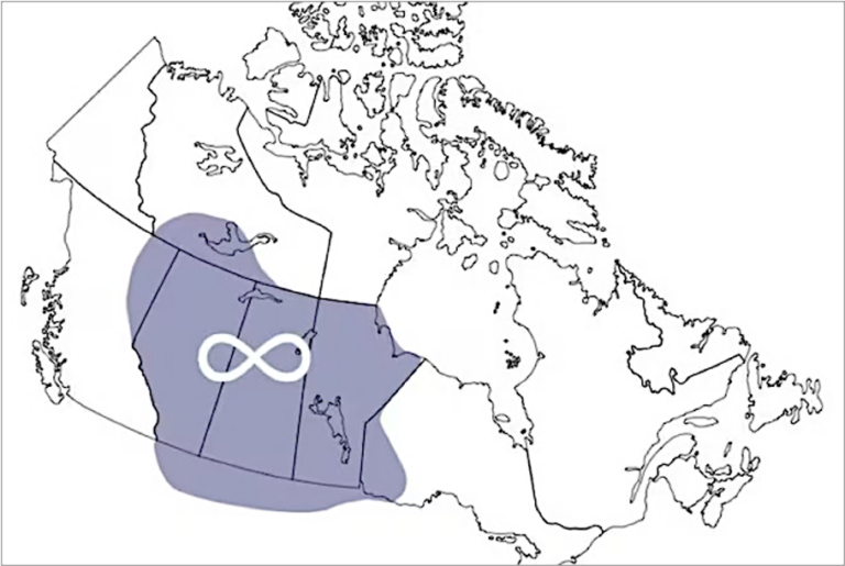 The Dangerous Absurdity of Canada’s “Nation-to-Nation” Treaty with ...
