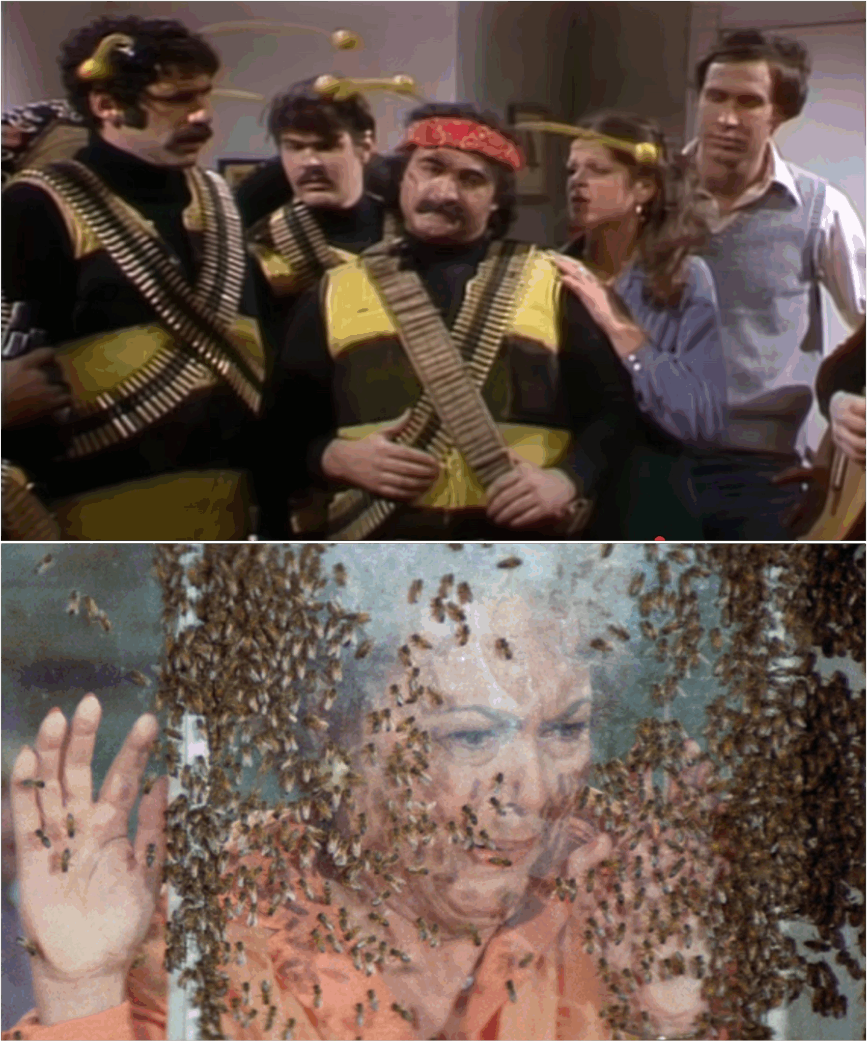 Unstung Heroes: Canada’s Honey Bees Aren’t Disappearing – They’re ...