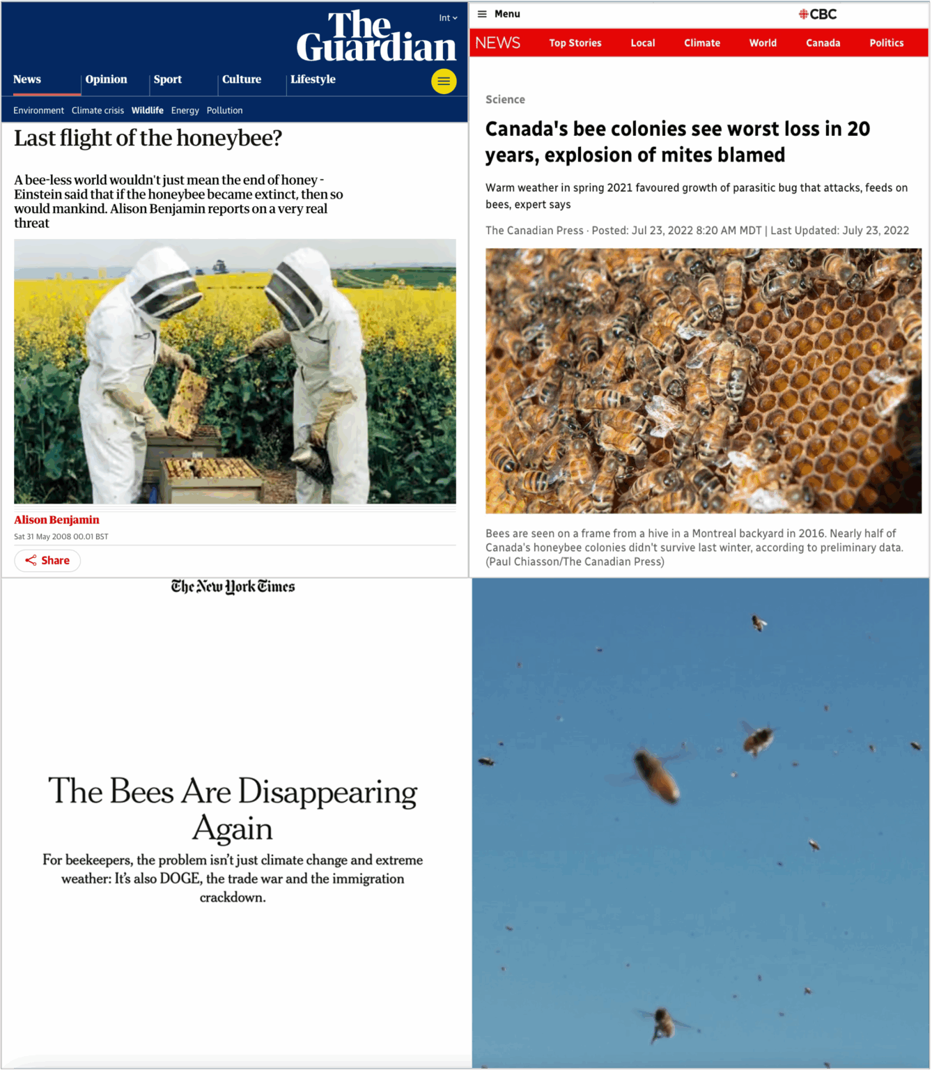 Unstung Heroes: Canada’s Honey Bees Aren’t Disappearing – They’re ...